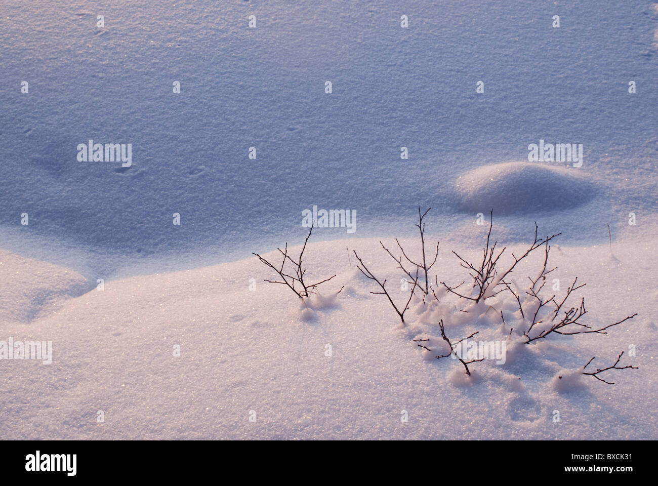 Bitter cold weather hi-res stock photography and images - Alamy