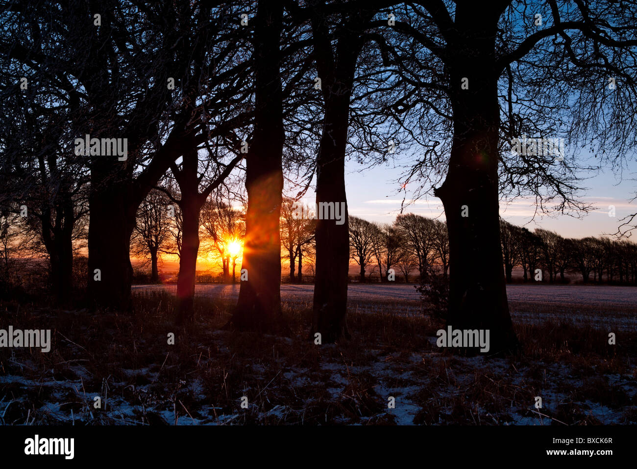 Cranborne dorset village hi-res stock photography and images - Alamy
