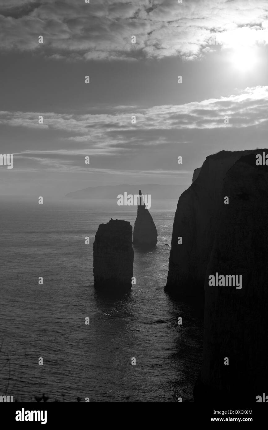 Old harry Black and White Stock Photos & Images - Alamy