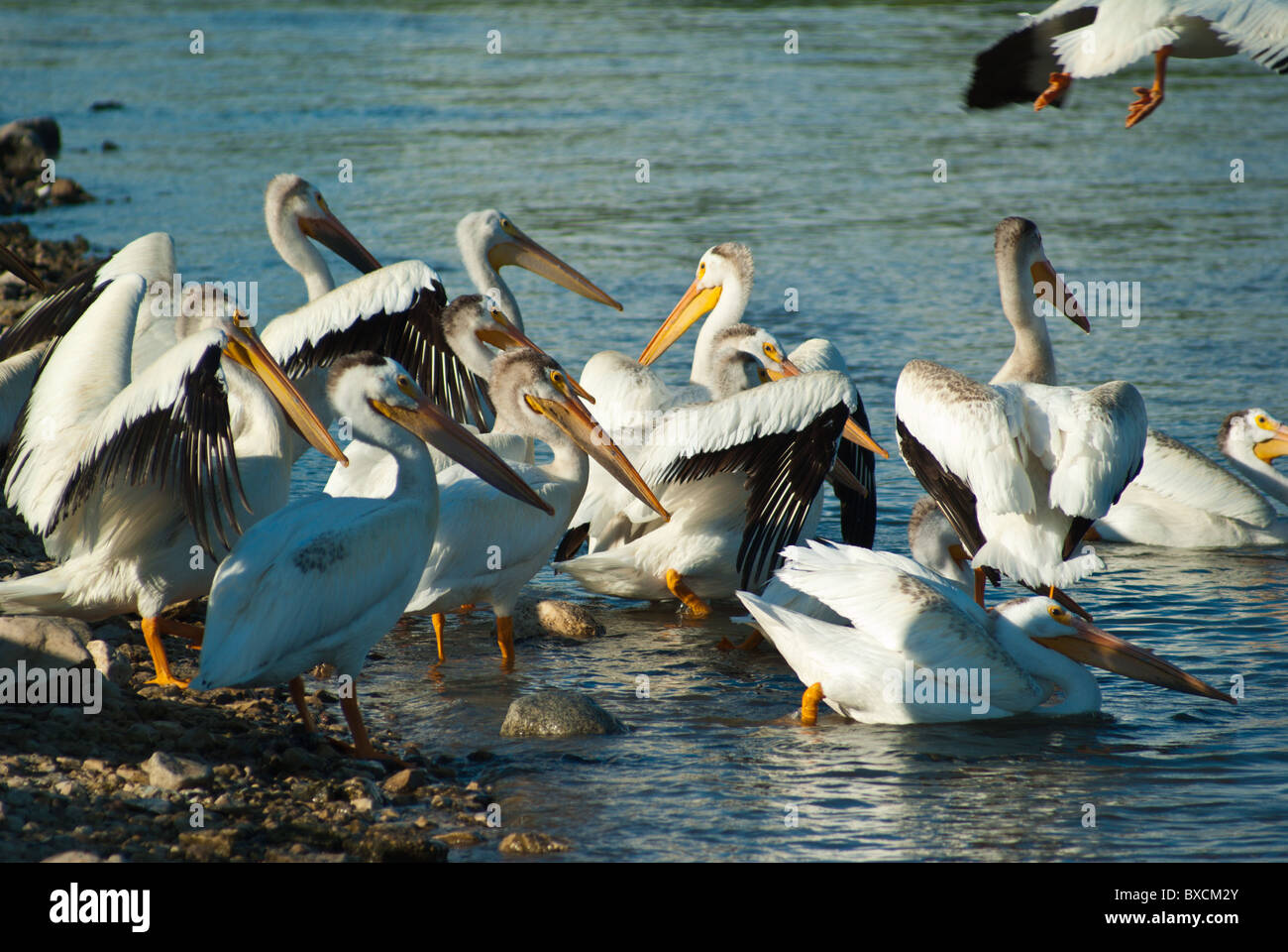 Lockport dam hi-res stock photography and images - Alamy