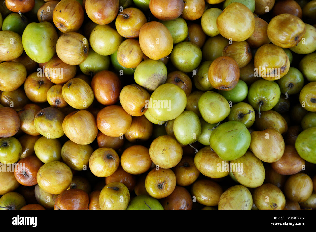 Edible stone fruit hi-res stock photography and images - Alamy