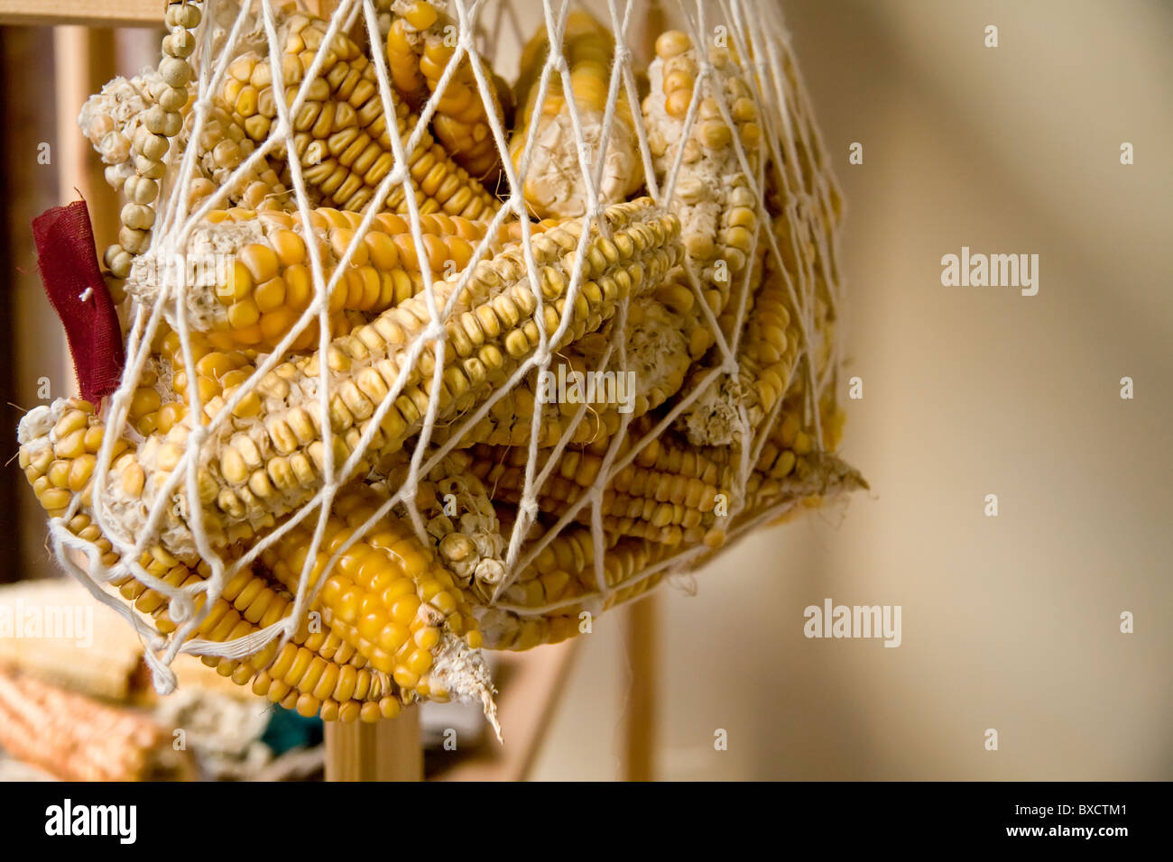 Hanged Dry Organic Corns In A Net Stock Photo - Alamy