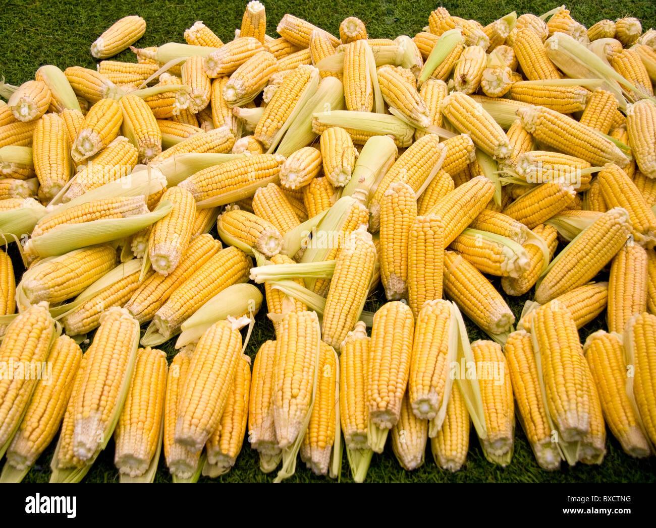 Corn husk stack hi-res stock photography and images - Alamy