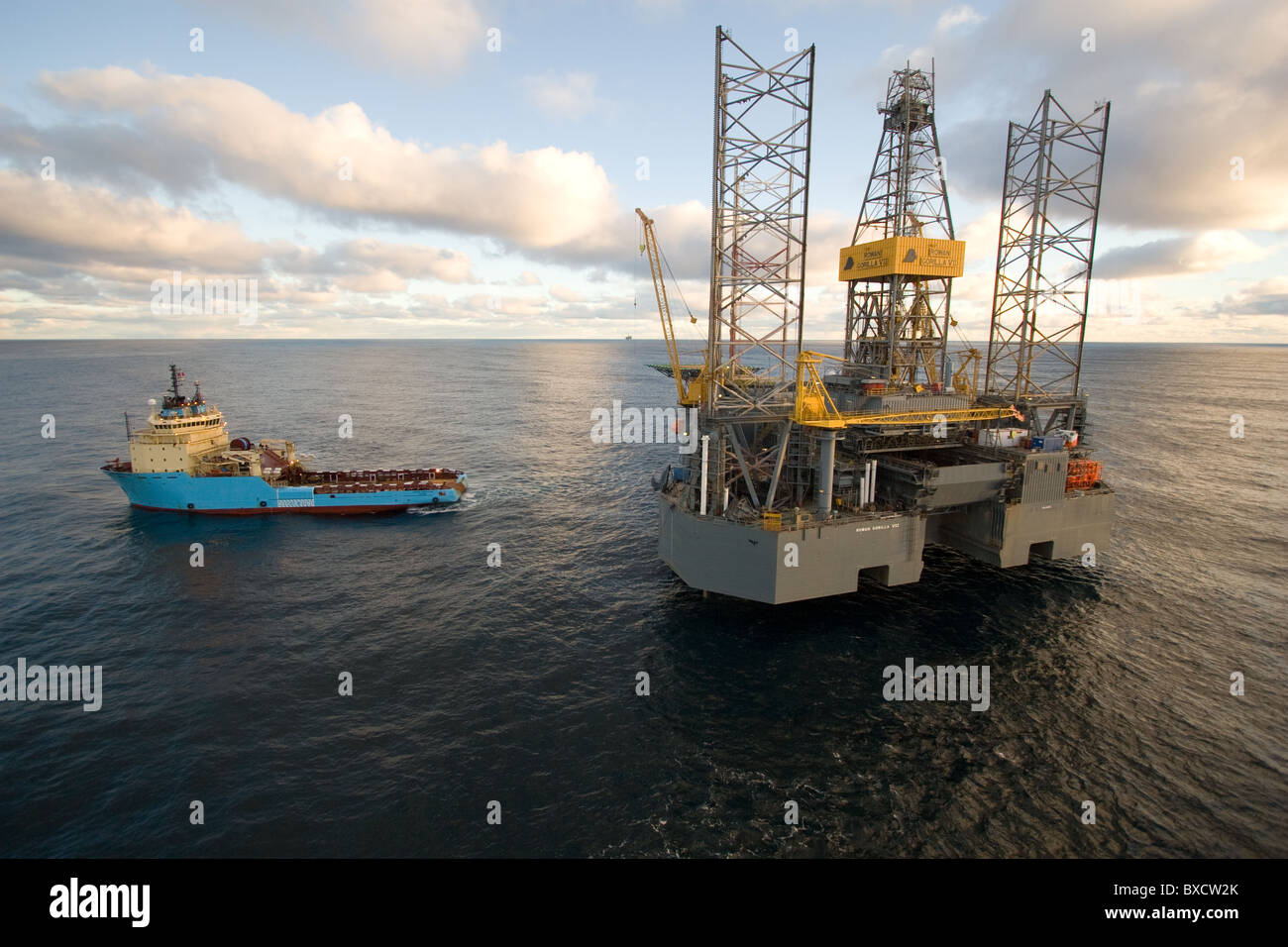 Rowan gorilla 7 hi-res stock photography and images - Alamy