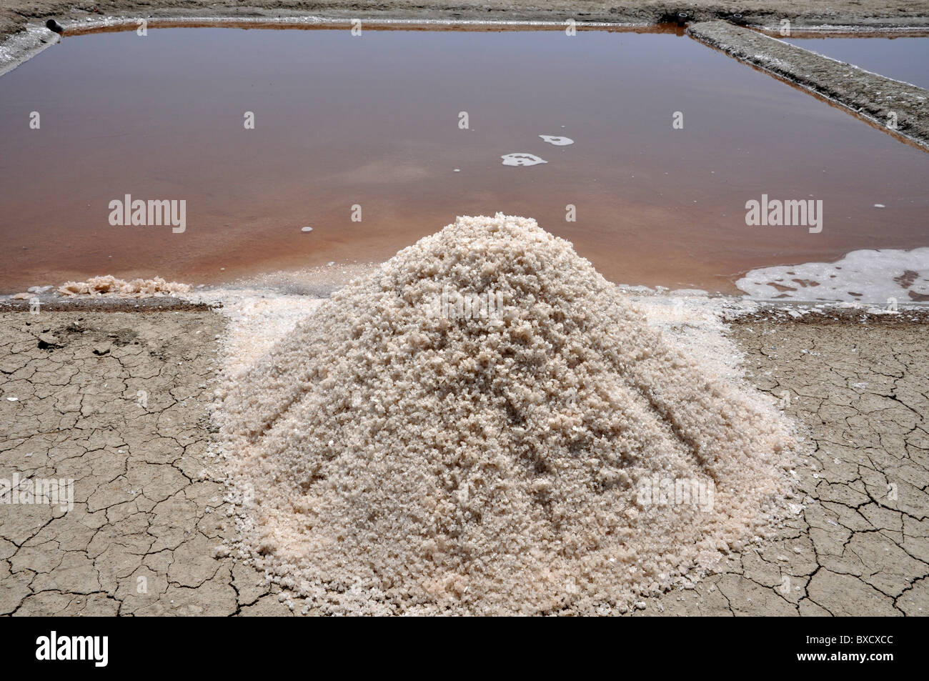 Tidal marine salt marshes hi-res stock photography and images - Alamy
