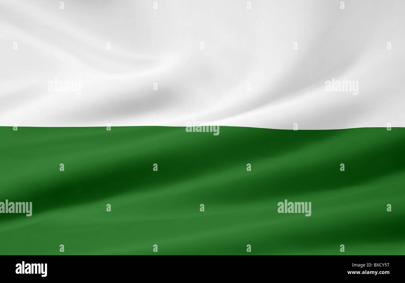 Flag of Styria - Austria Stock Photo - Alamy