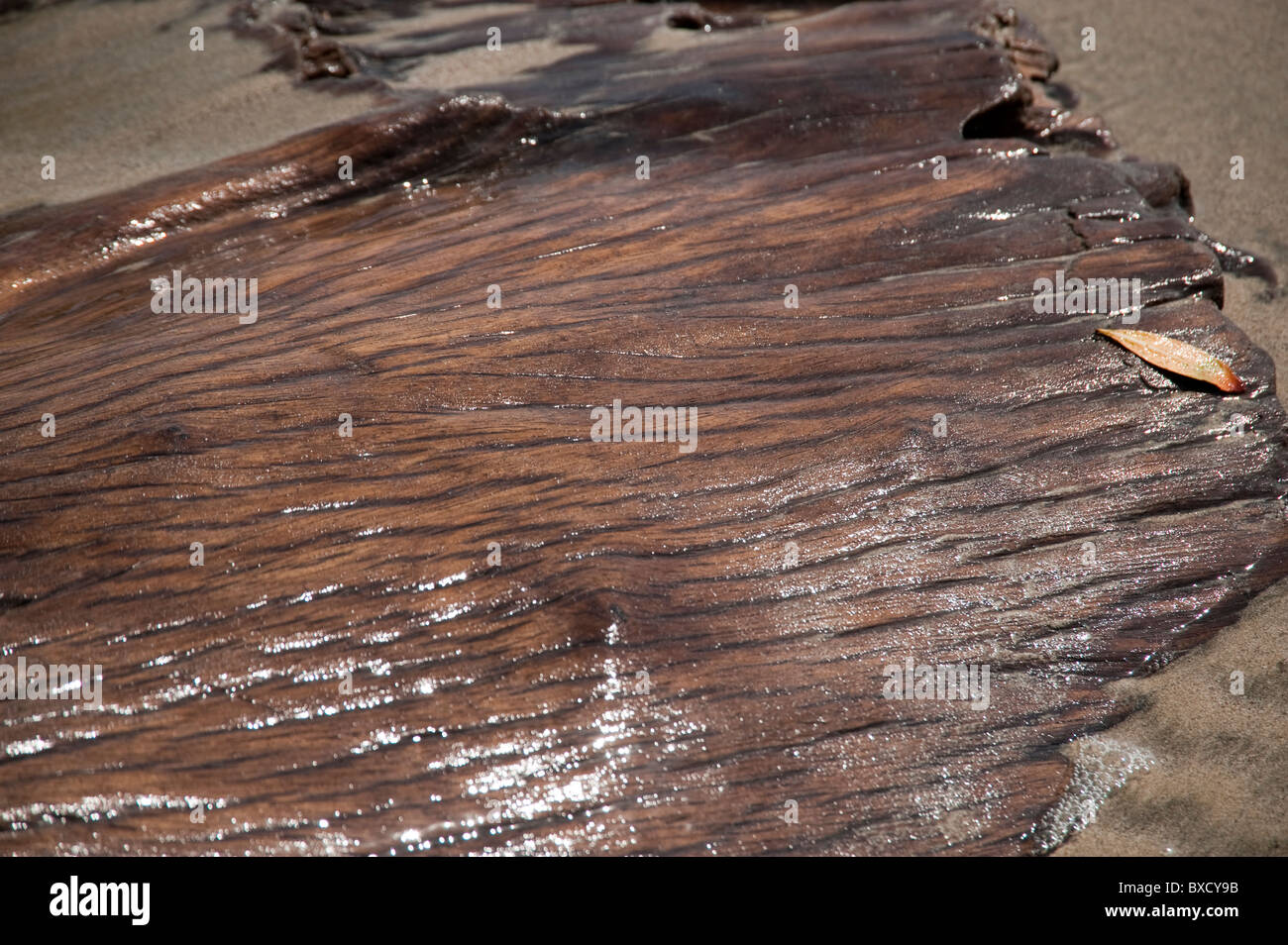 Rock formation on beach in Costa Rica Stock Photo - Alamy