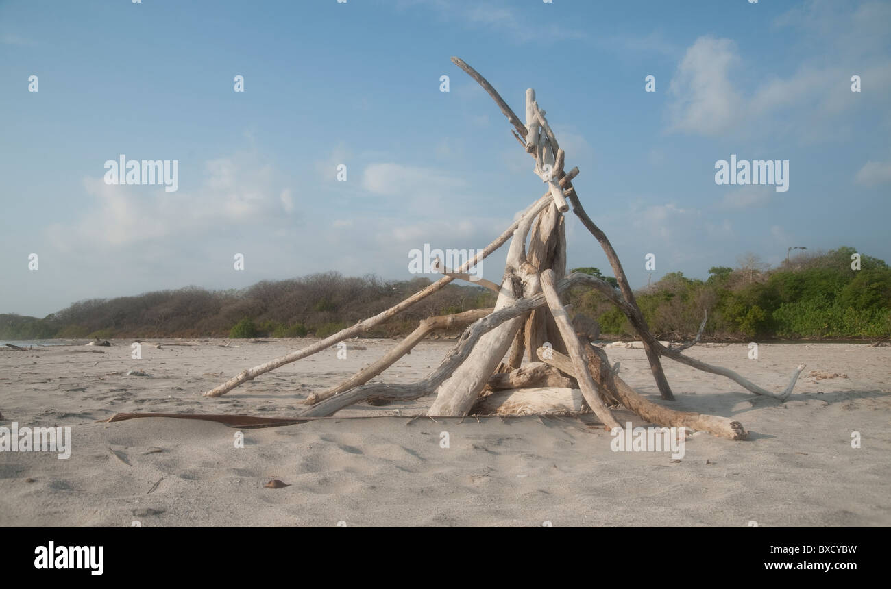 Triangle bonfire teepee made of driftwood on the sand beach with the ...