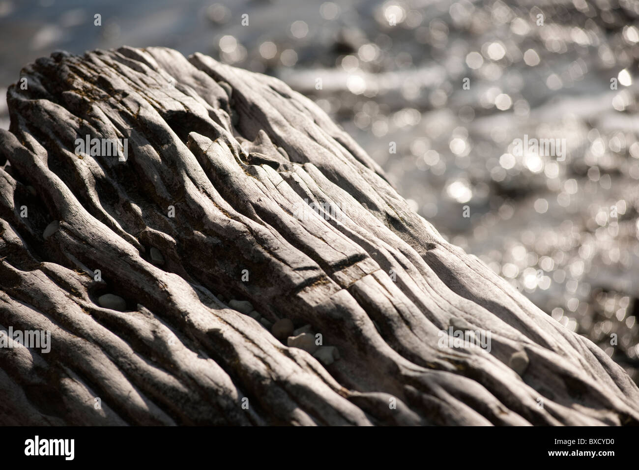 abstract grey rock formations formed by water erosion Stock Photo - Alamy