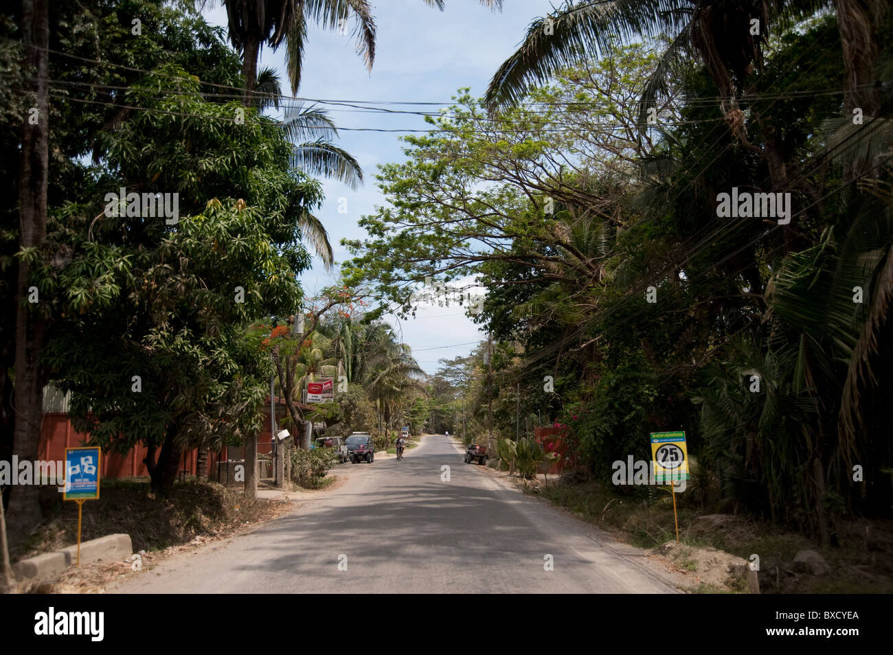 Jungle of road signs hi-res stock photography and images - Alamy