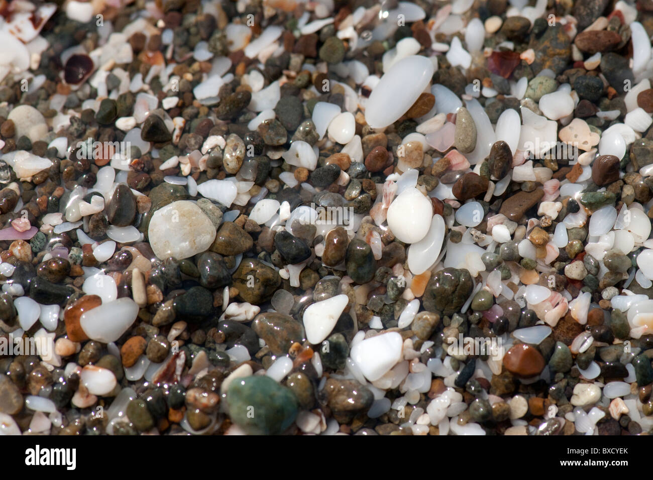 Quartz pebbles hi-res stock photography and images - Alamy