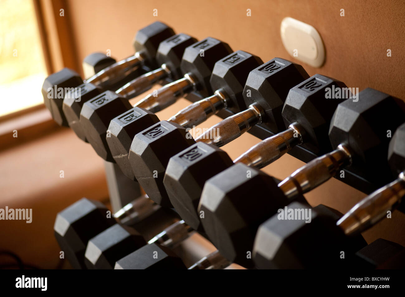 Assorted freeweights on a rack in the gym Stock Photo - Alamy