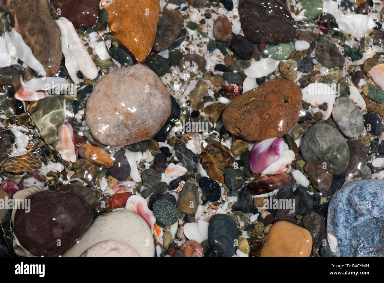Coloured stones and pebbles along the shoreline in Costa Rica Stock ...