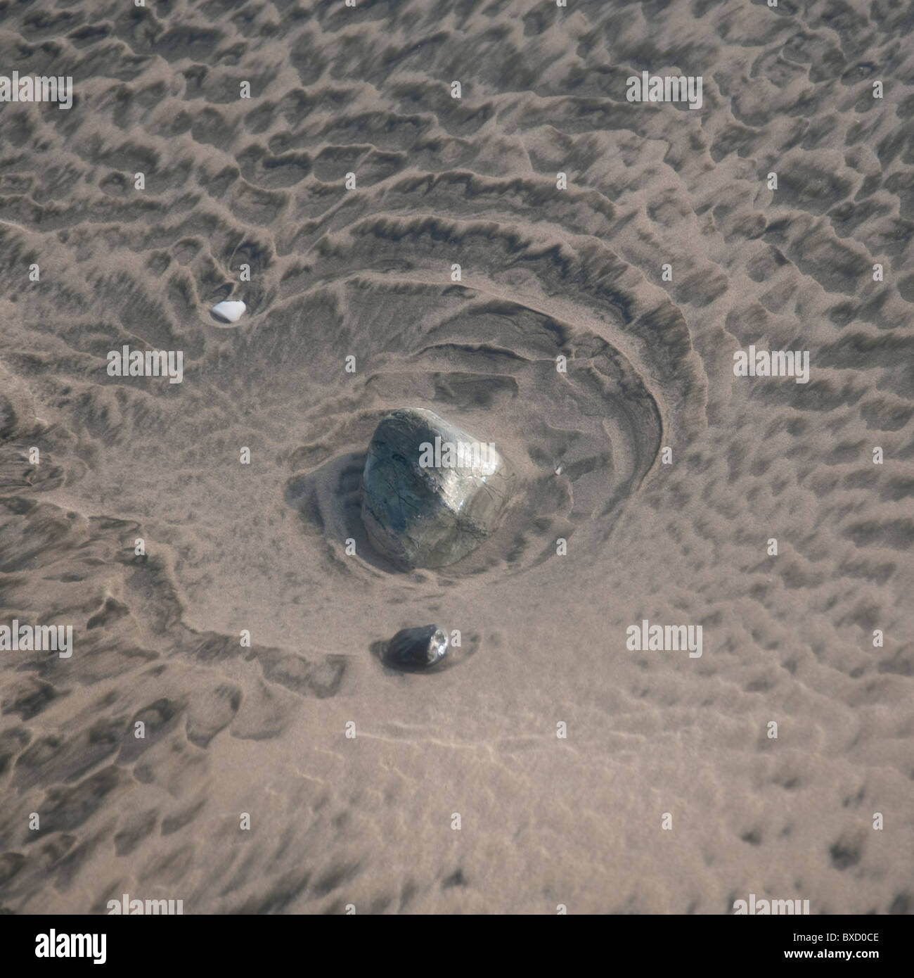 Stones and sea shells along the beach in Costa Rica Stock Photo - Alamy