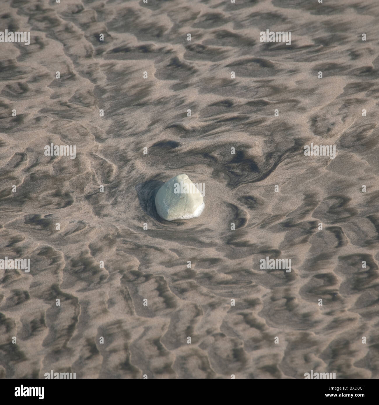 Stones and sea shells along the beach in Costa Rica Stock Photo - Alamy