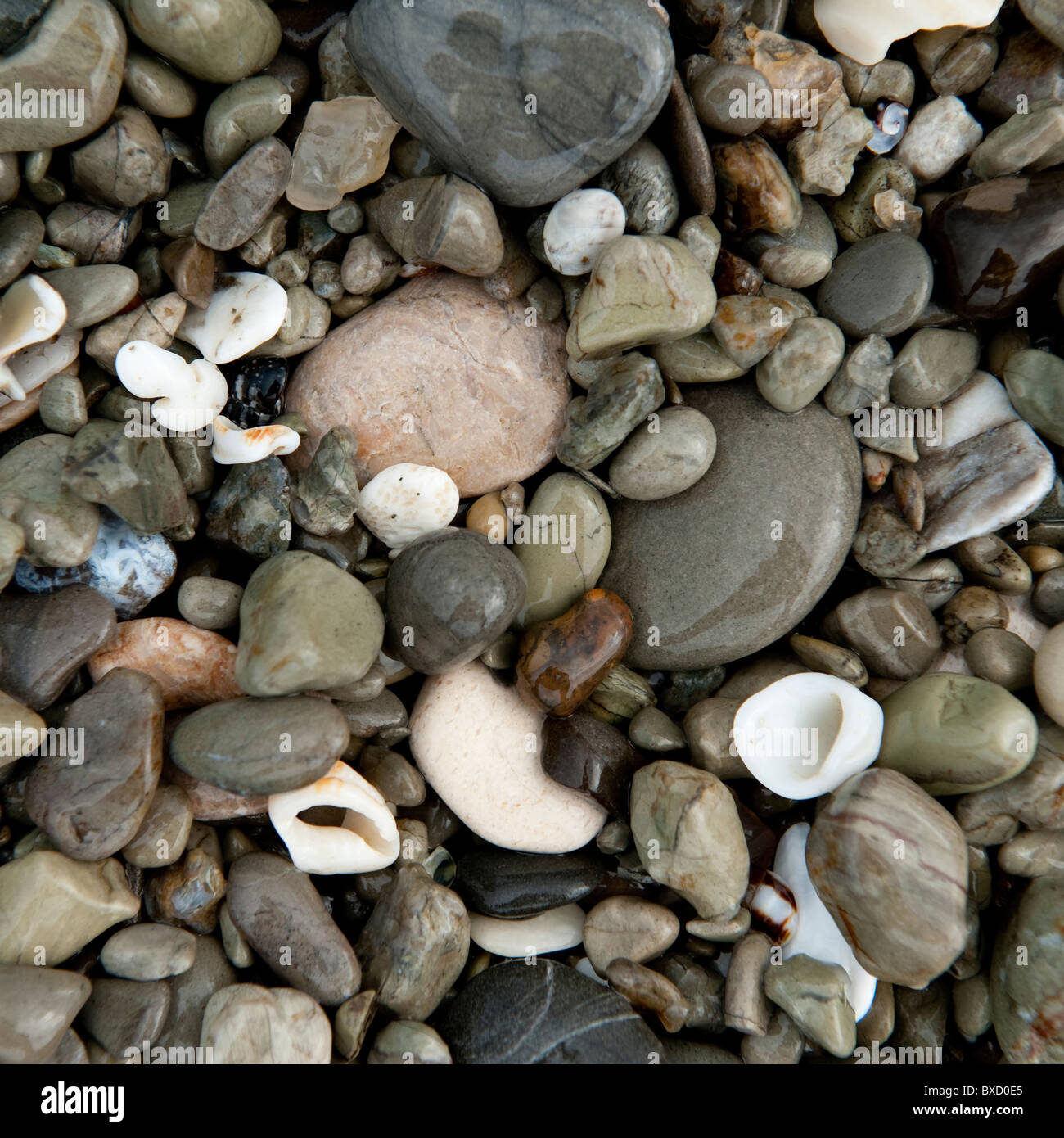 Colourful stones along shoreline in Costa Rica Stock Photo - Alamy