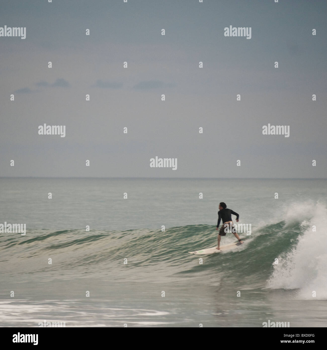 Surfer riging a wave along Coast Rica seashore Stock Photo - Alamy