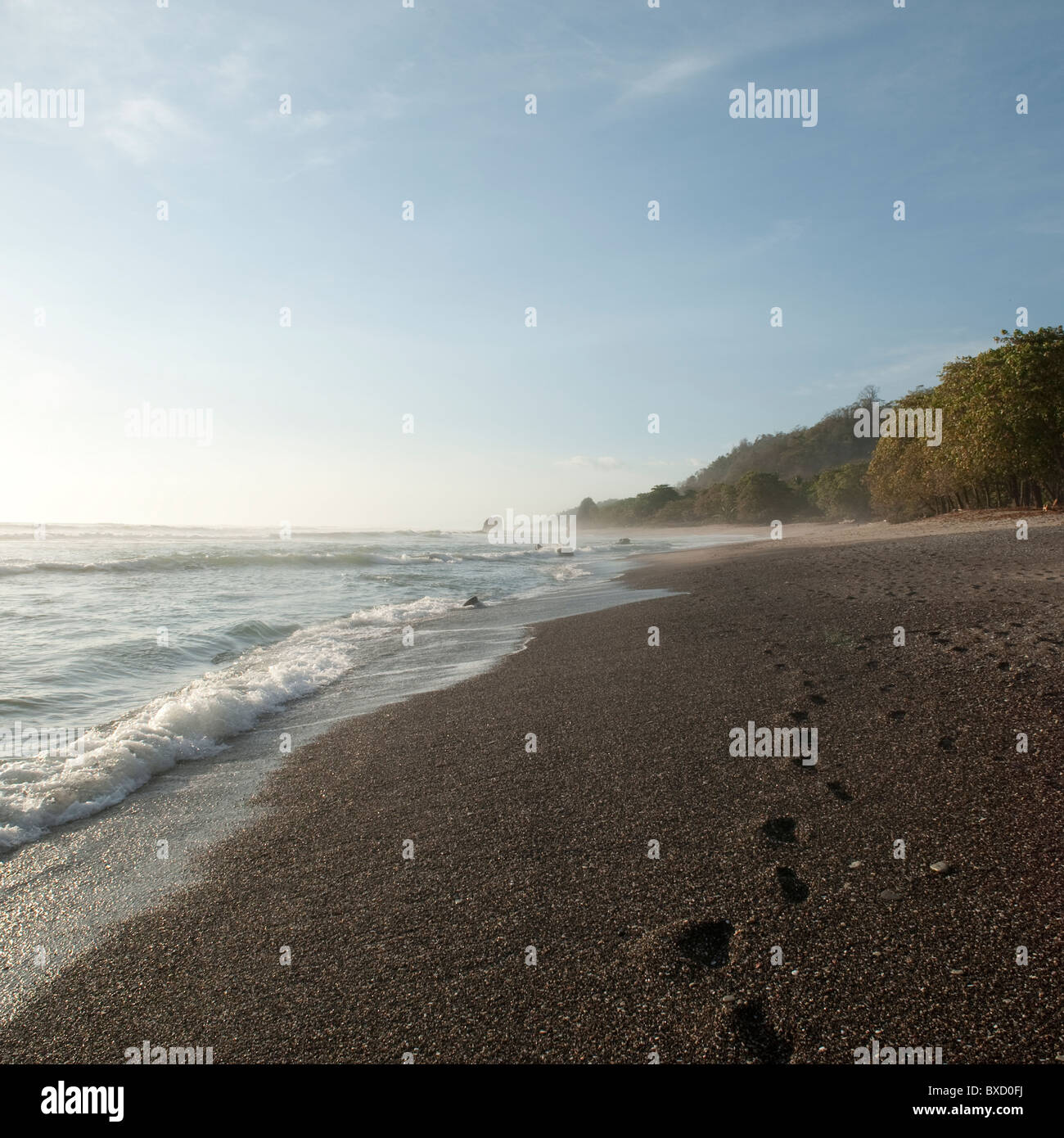 Footprints in the sand along Coast Rica seashore Stock Photo - Alamy
