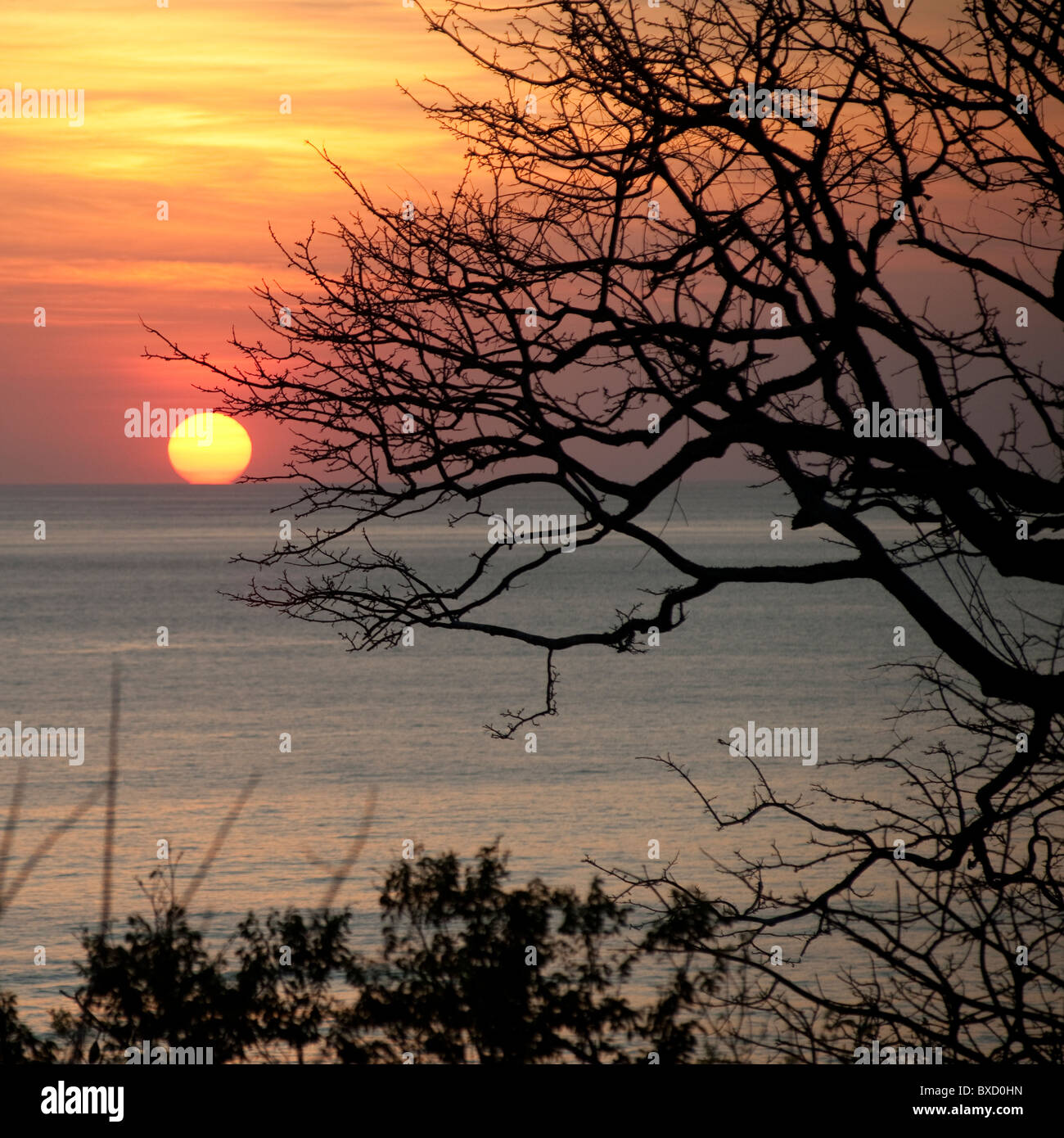 Sunset over costa rica trees hi-res stock photography and images - Alamy