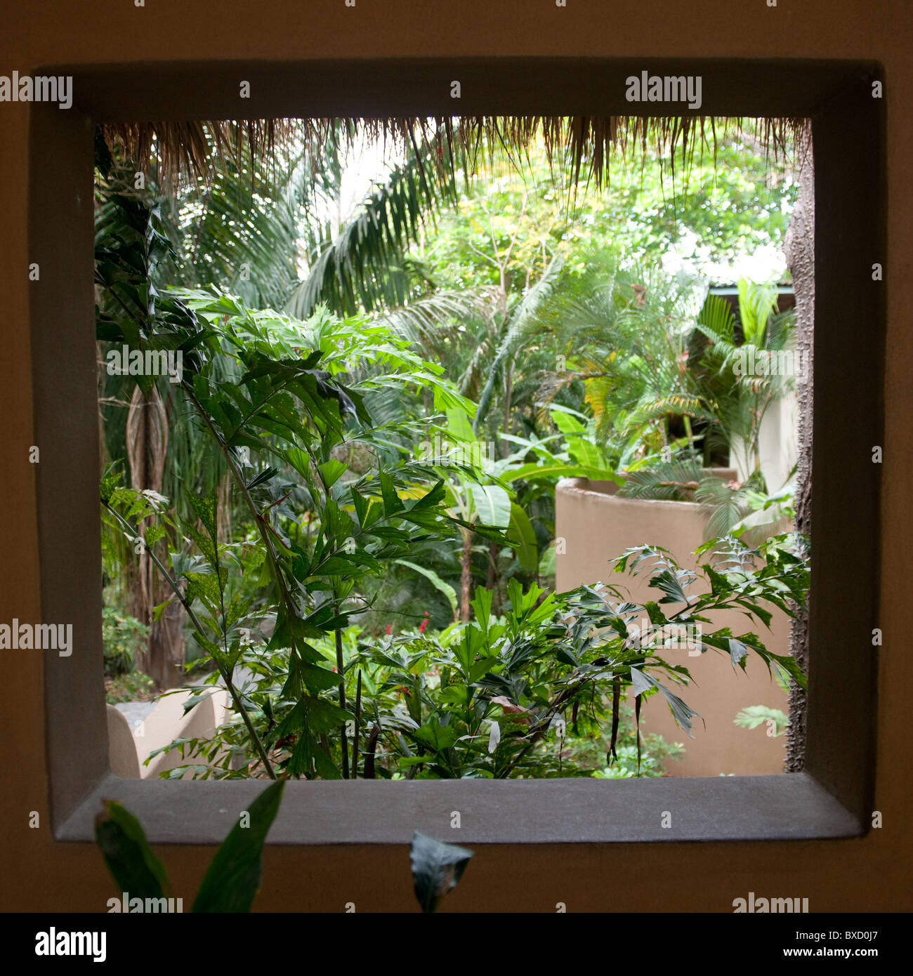 Garden in Costa Rica Stock Photo - Alamy