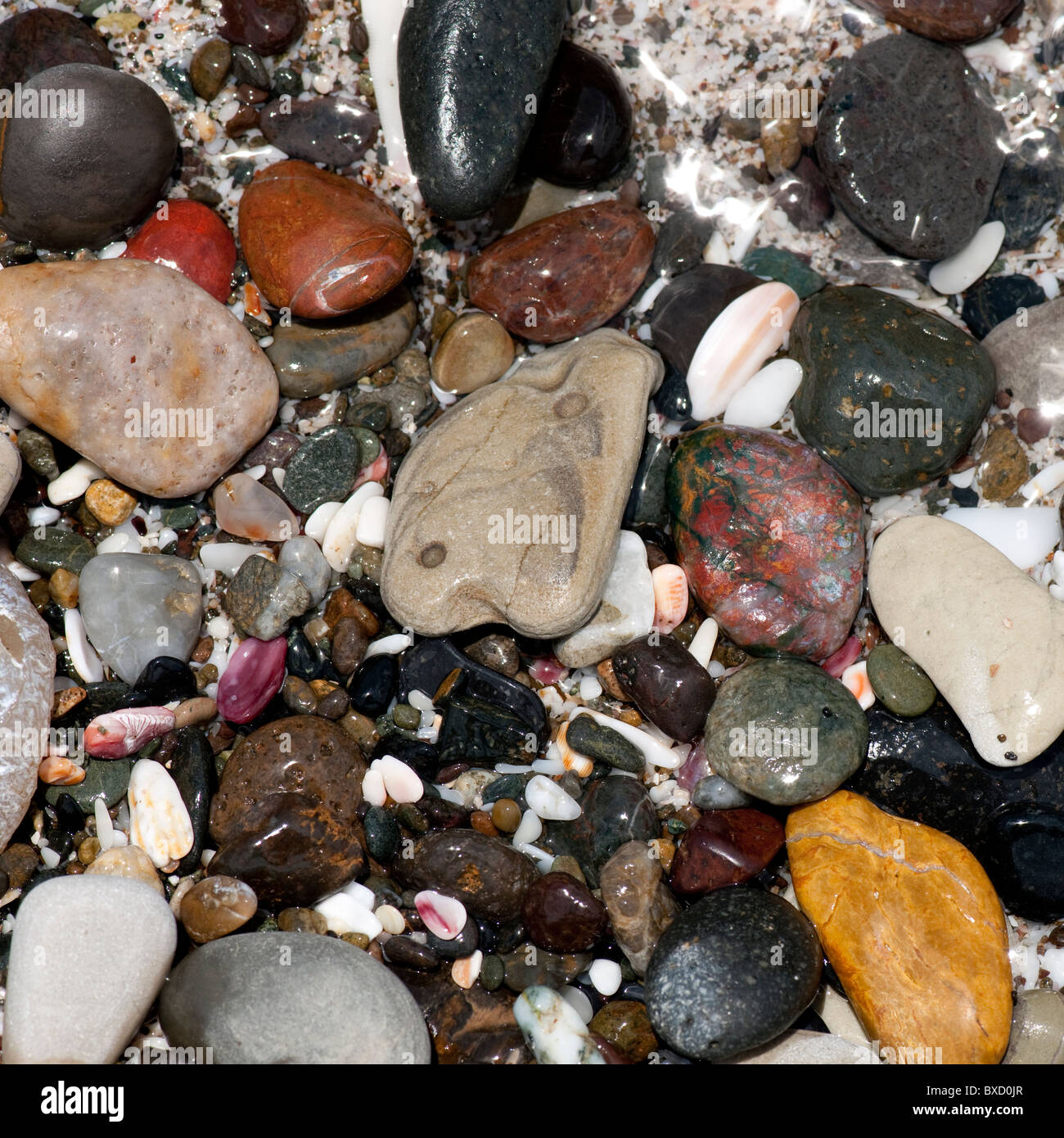 Coloured stones and pebbles along the shoreline in Costa Rica Stock ...