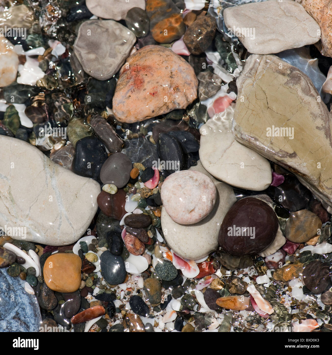 Coloured stones and pebbles along the shoreline in Costa Rica Stock ...