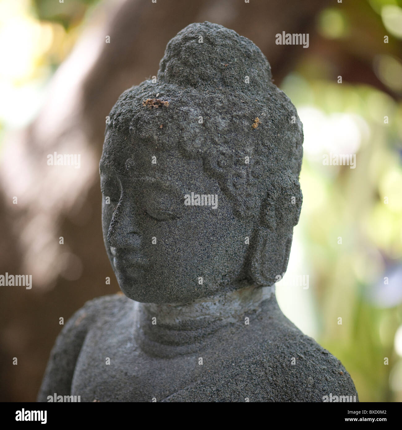 Buddha statue in Costa Rica Stock Photo - Alamy