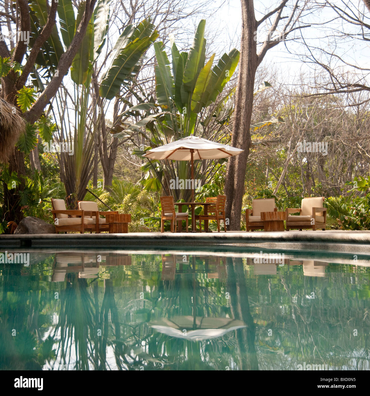 Dining umbrellas tables palm trees hi-res stock photography and images ...