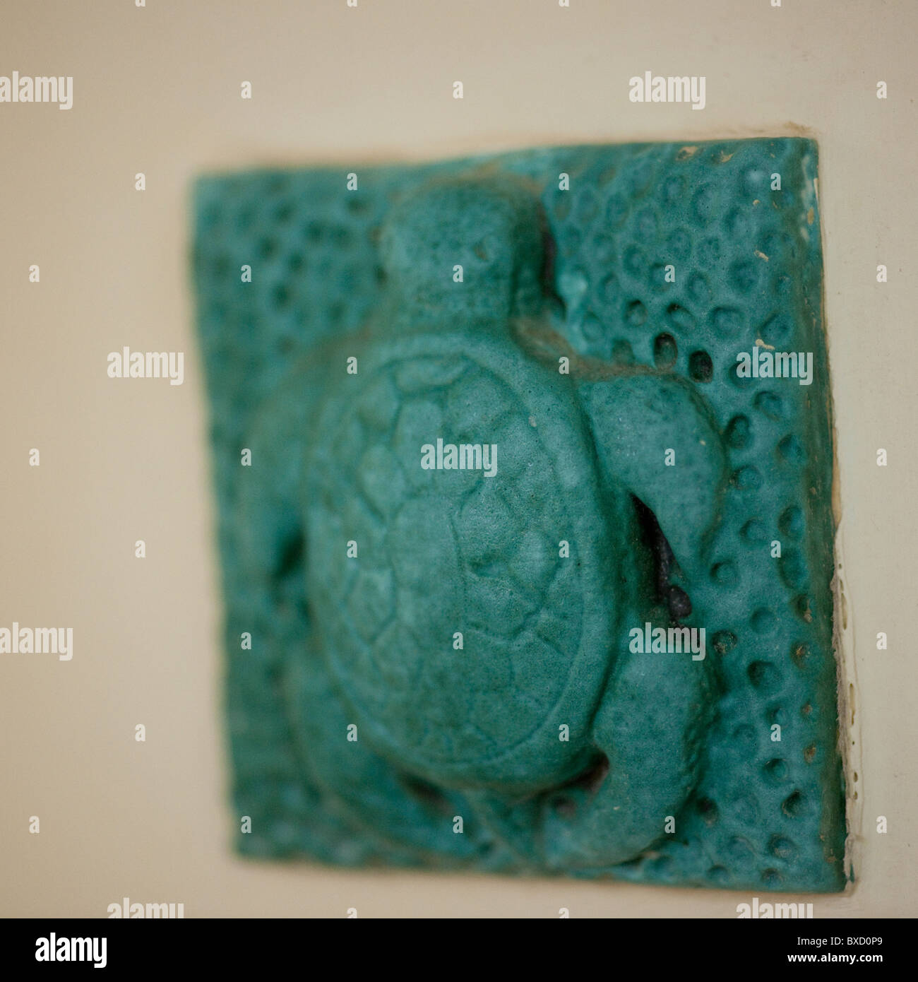 Pacific green turtle costa rica hi-res stock photography and images - Alamy