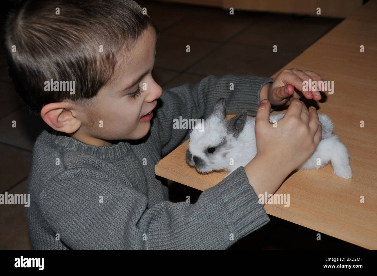 young boy with a young rabbit Stock Photo - Alamy