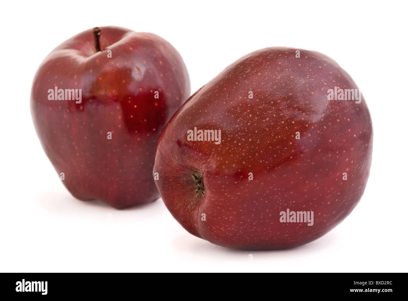 Natur genießen Cut Out Stock Images & Pictures - Alamy