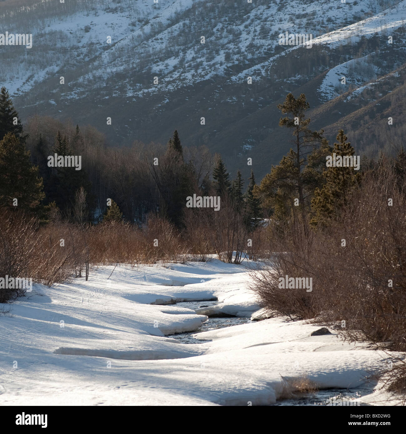 Winter landscape in Vail, Colorado Stock Photo - Alamy
