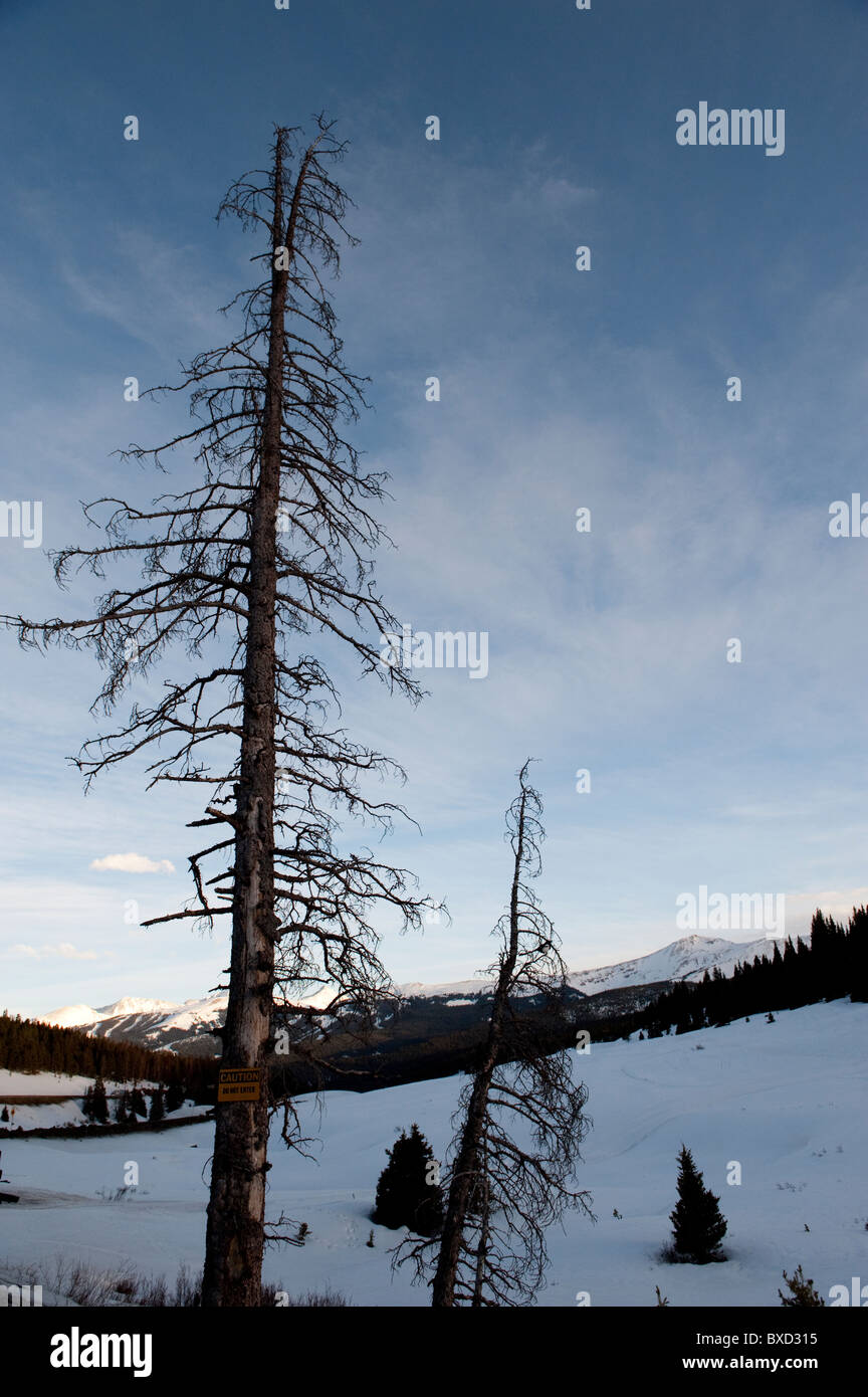 Winter landscape in Vail, Colorado Stock Photo - Alamy