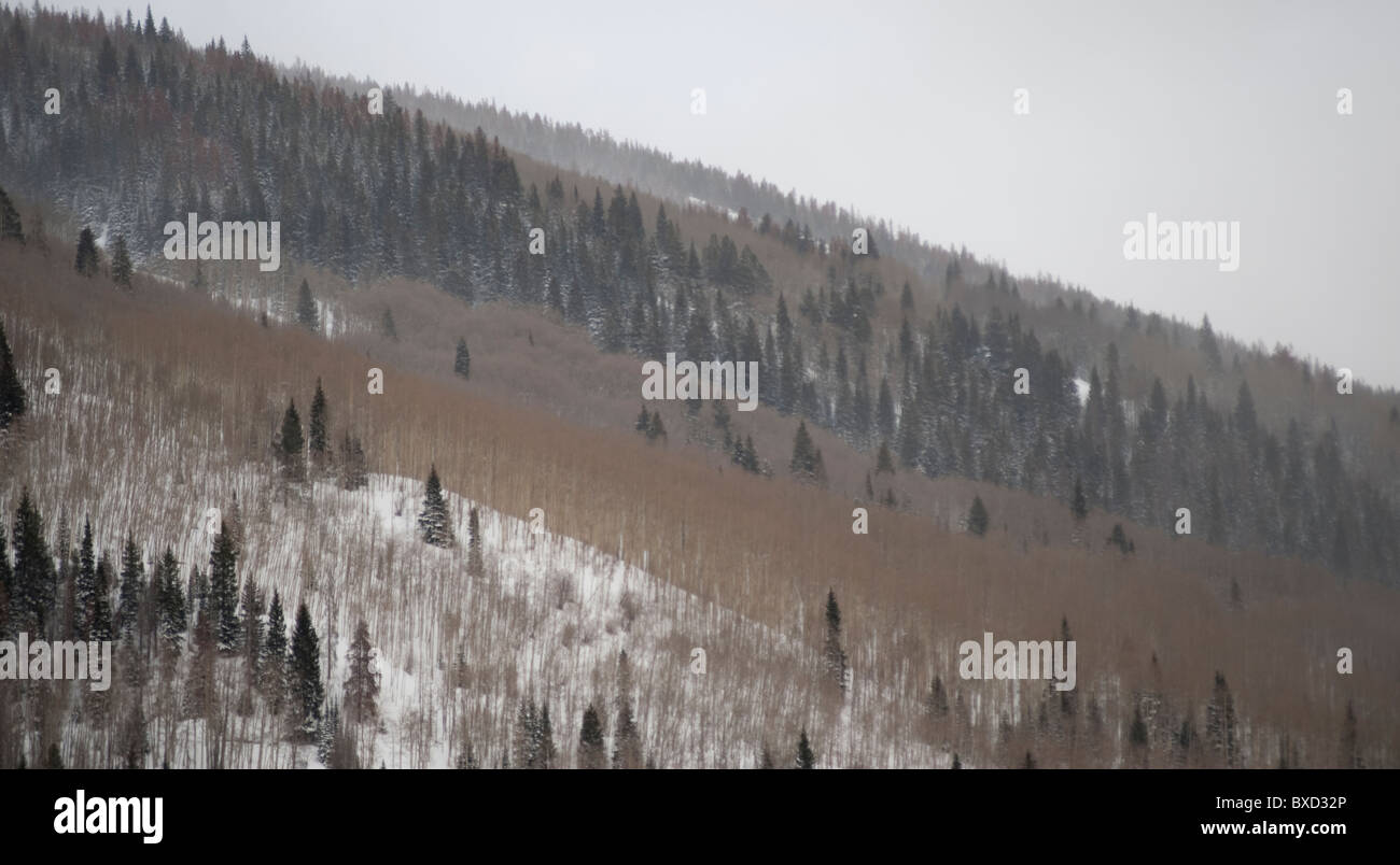 Vail landscape hi-res stock photography and images - Alamy