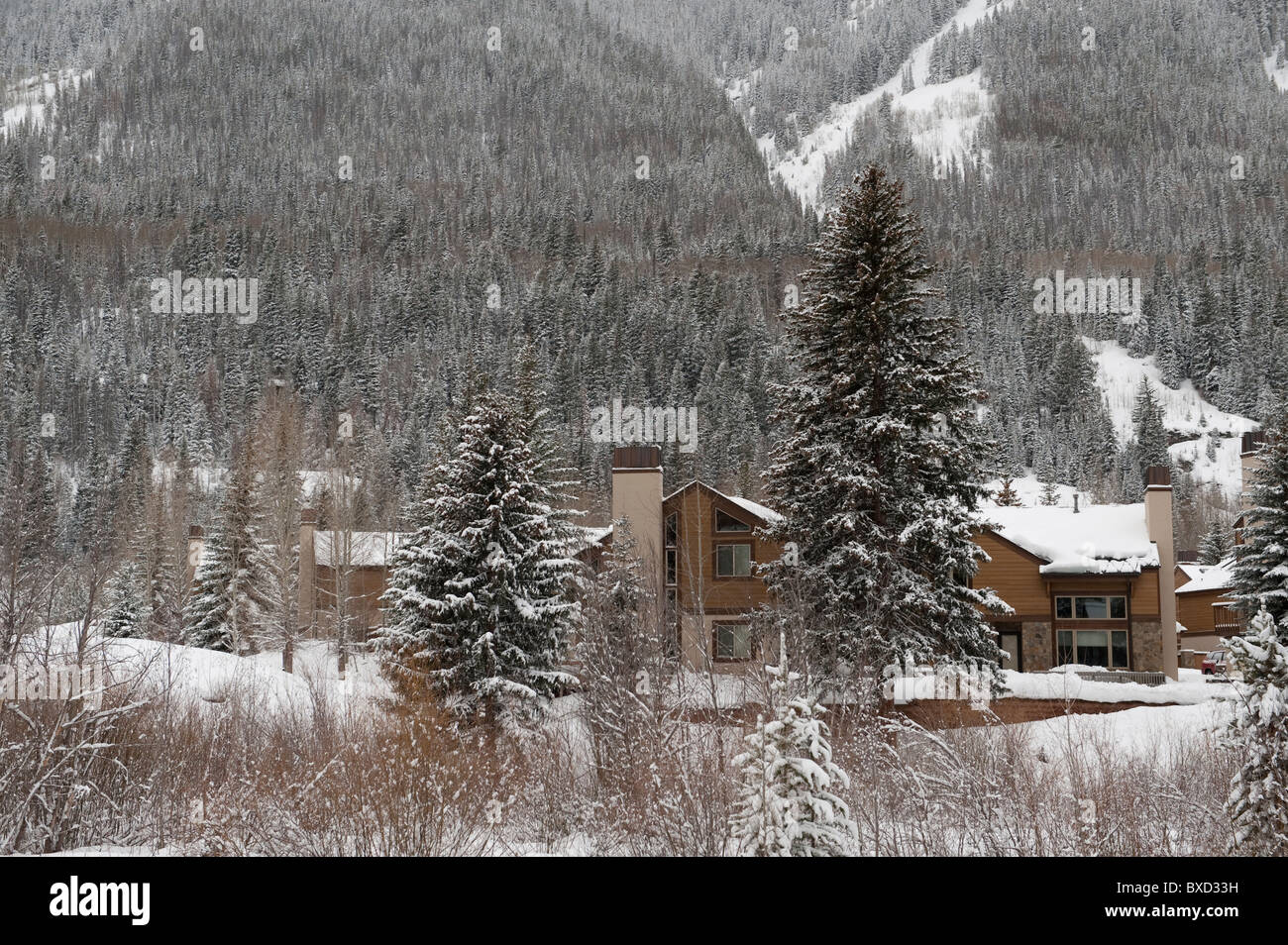 Winter landscape in Vail, Colorado Stock Photo - Alamy