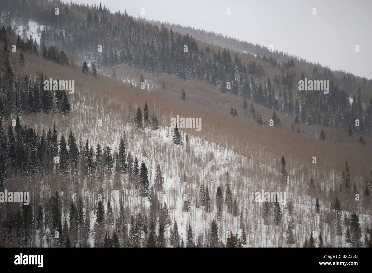 Winter landscape in Vail, Colorado Stock Photo - Alamy