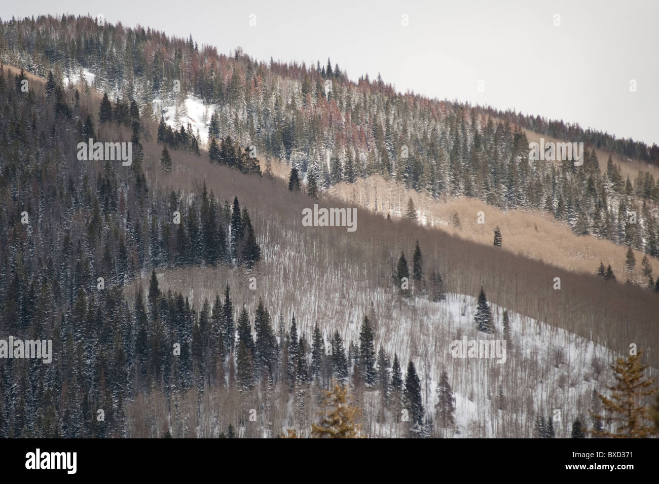 Winter landscape in Vail, Colorado Stock Photo - Alamy