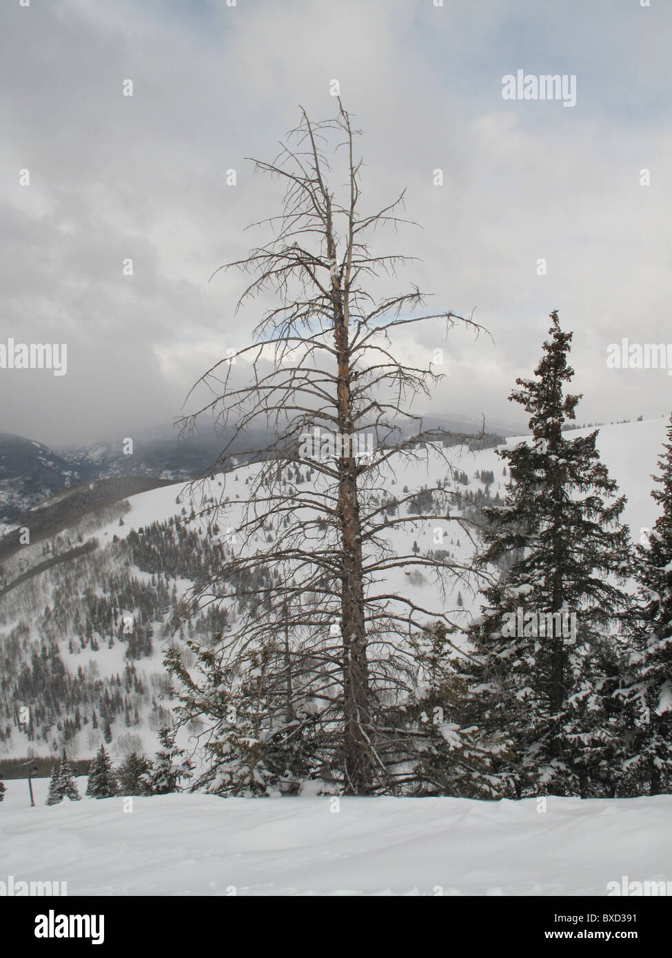Winter landscape in Vail, Colorado Stock Photo - Alamy