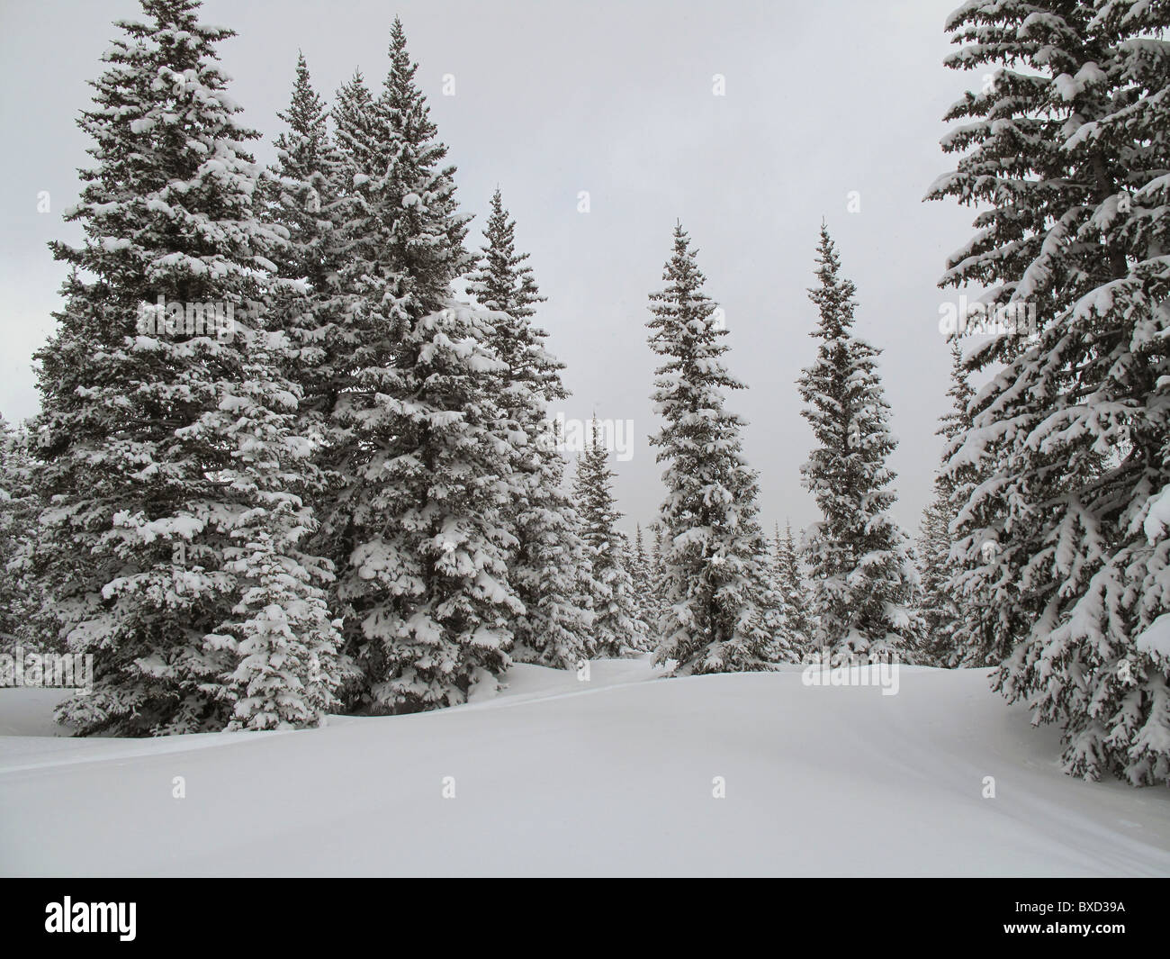 Winter landscape in Vail, Colorado Stock Photo - Alamy