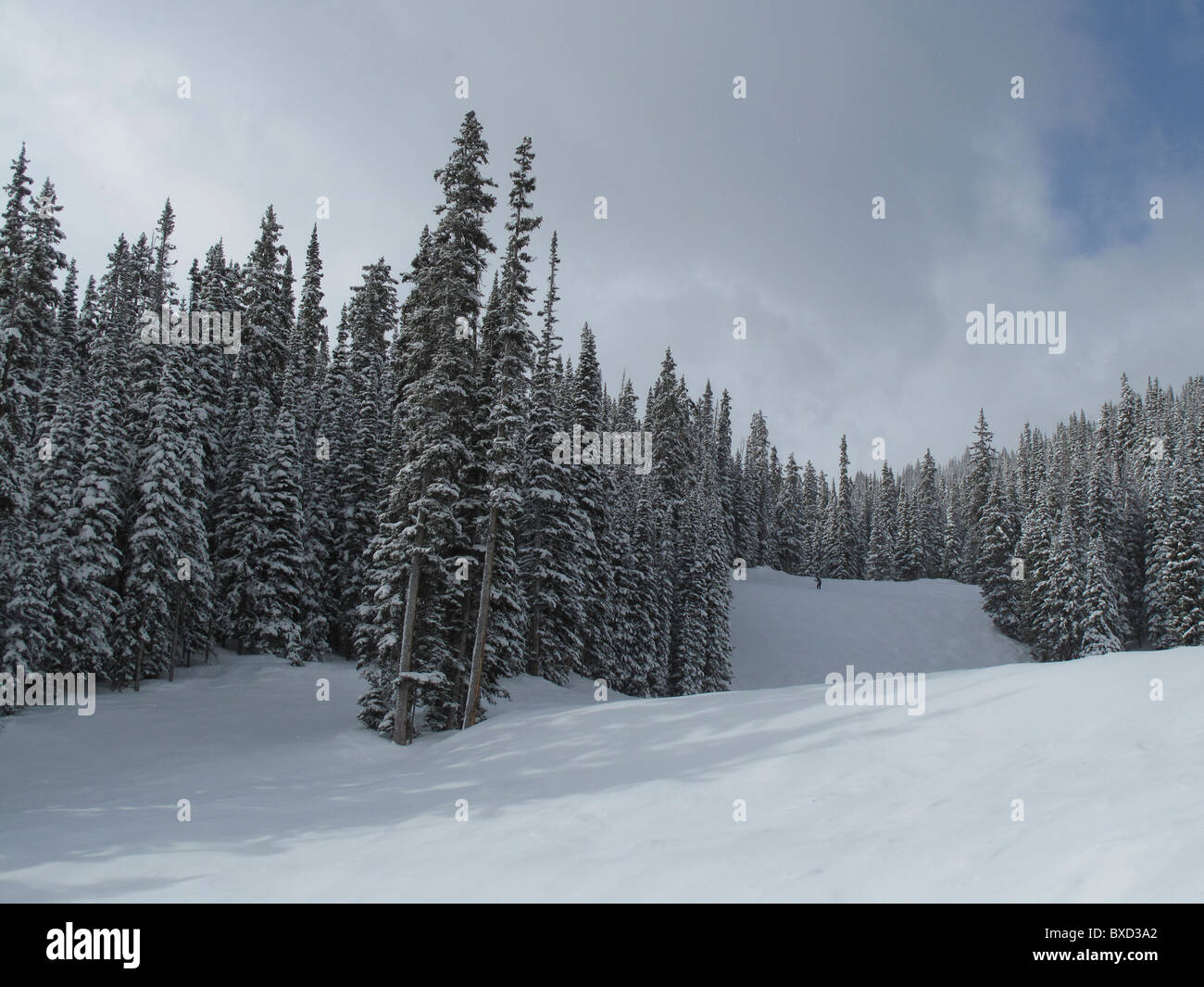 Winter landscape in Vail, Colorado Stock Photo - Alamy