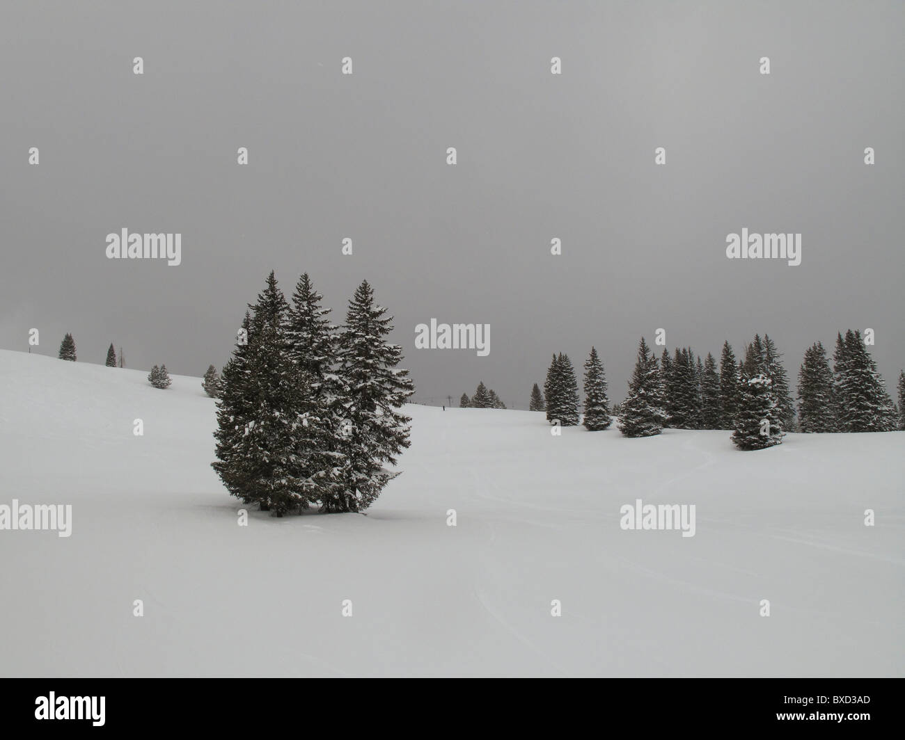Winter landscape in Vail, Colorado Stock Photo - Alamy