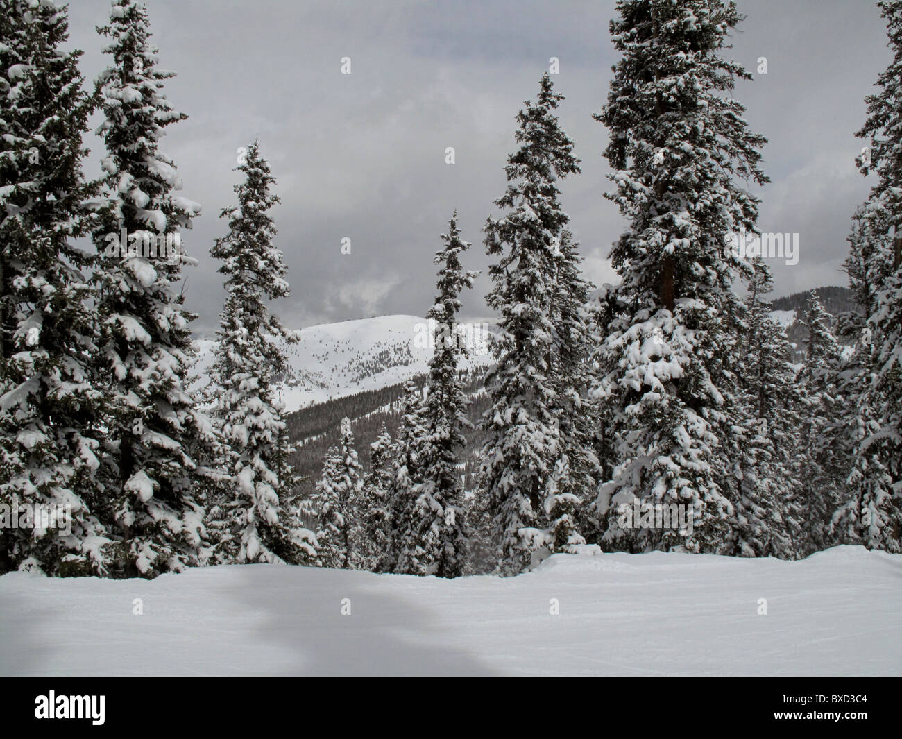 Winter landscape in Vail, Colorado Stock Photo - Alamy