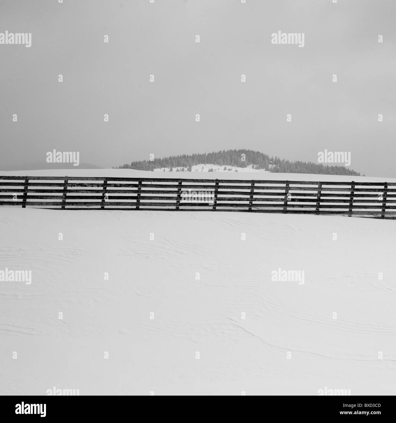 Barrior hi-res stock photography and images - Alamy