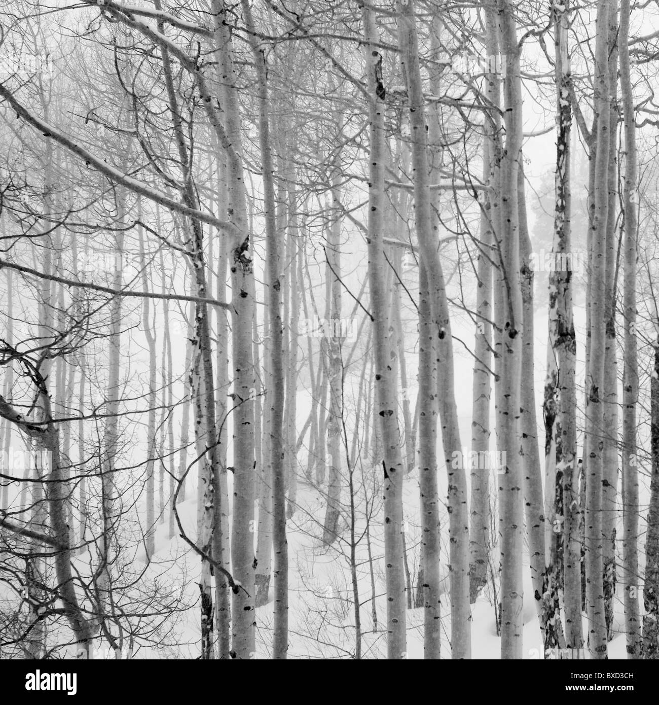 Colorado environment hi-res stock photography and images - Alamy