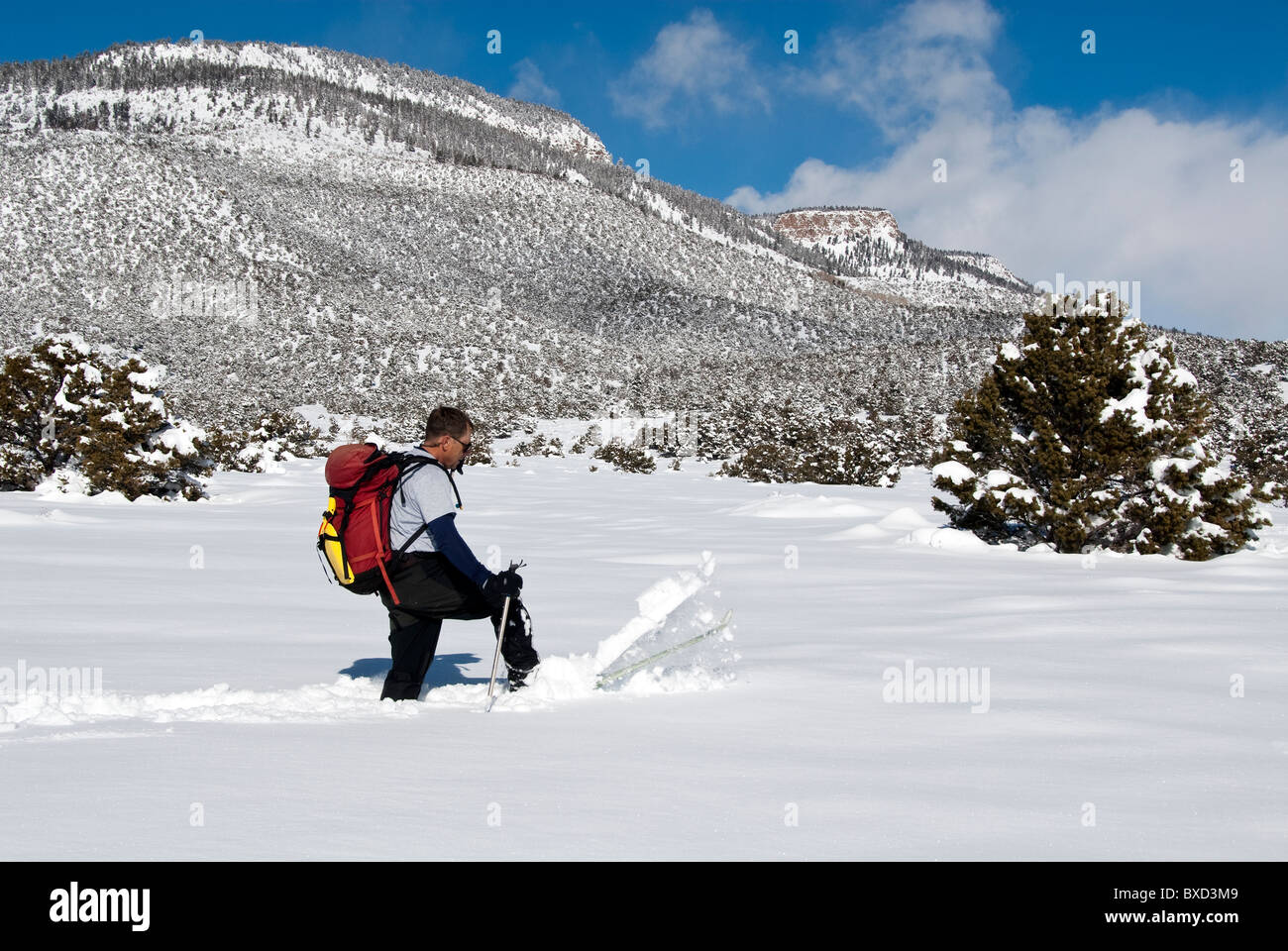 Mike Vining backcountry skiing Stock Photo - Alamy