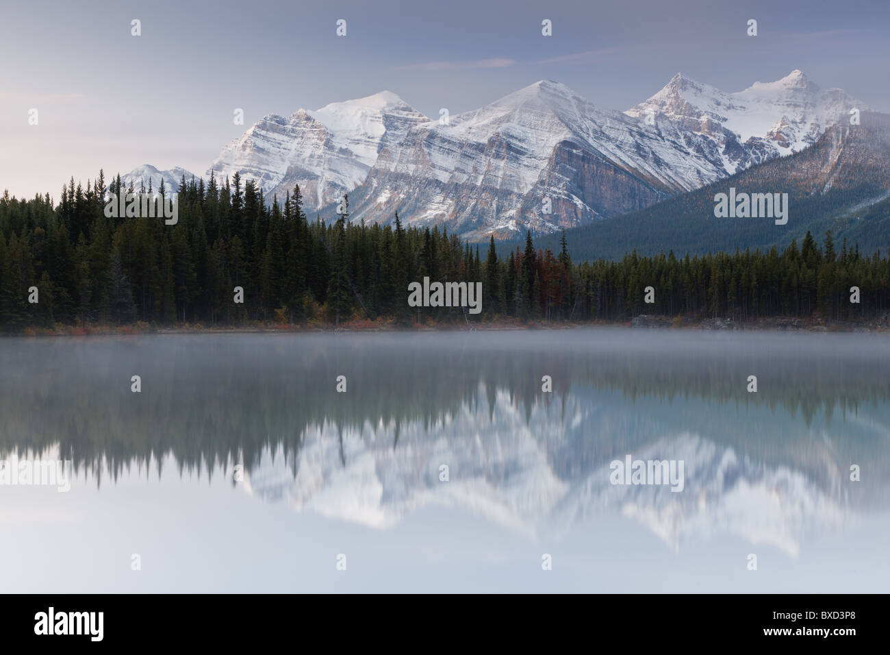 Herbert Lake, Icefields Parkway, Banff National Park, Alberta, Canada ...