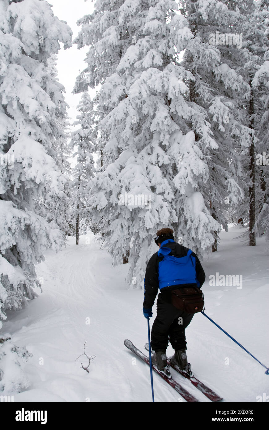 Mike Vining skiing trees off Cowboy Coffee Run Steamboat Ski Town USA ...