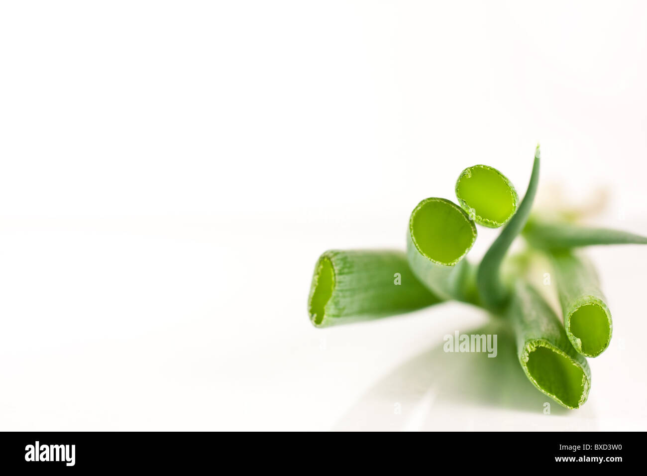 Spring onion isolated hi-res stock photography and images - Alamy