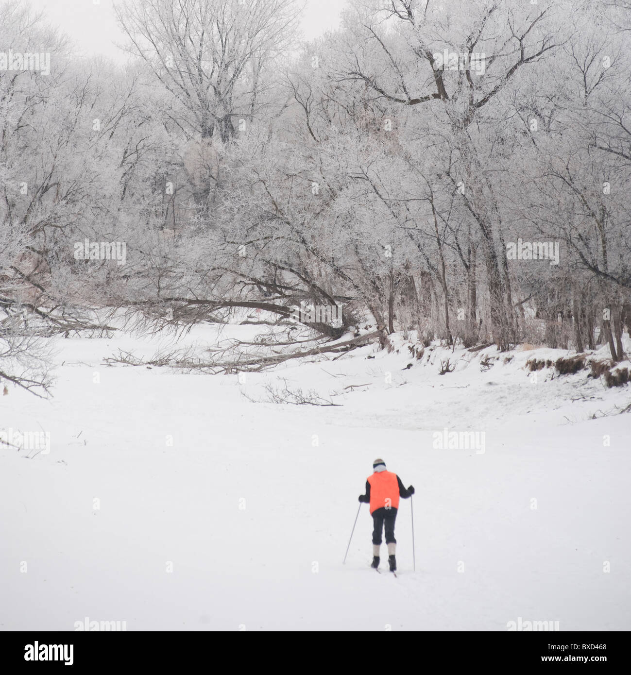 Person in snow and ice wonderland hi-res stock photography and images ...