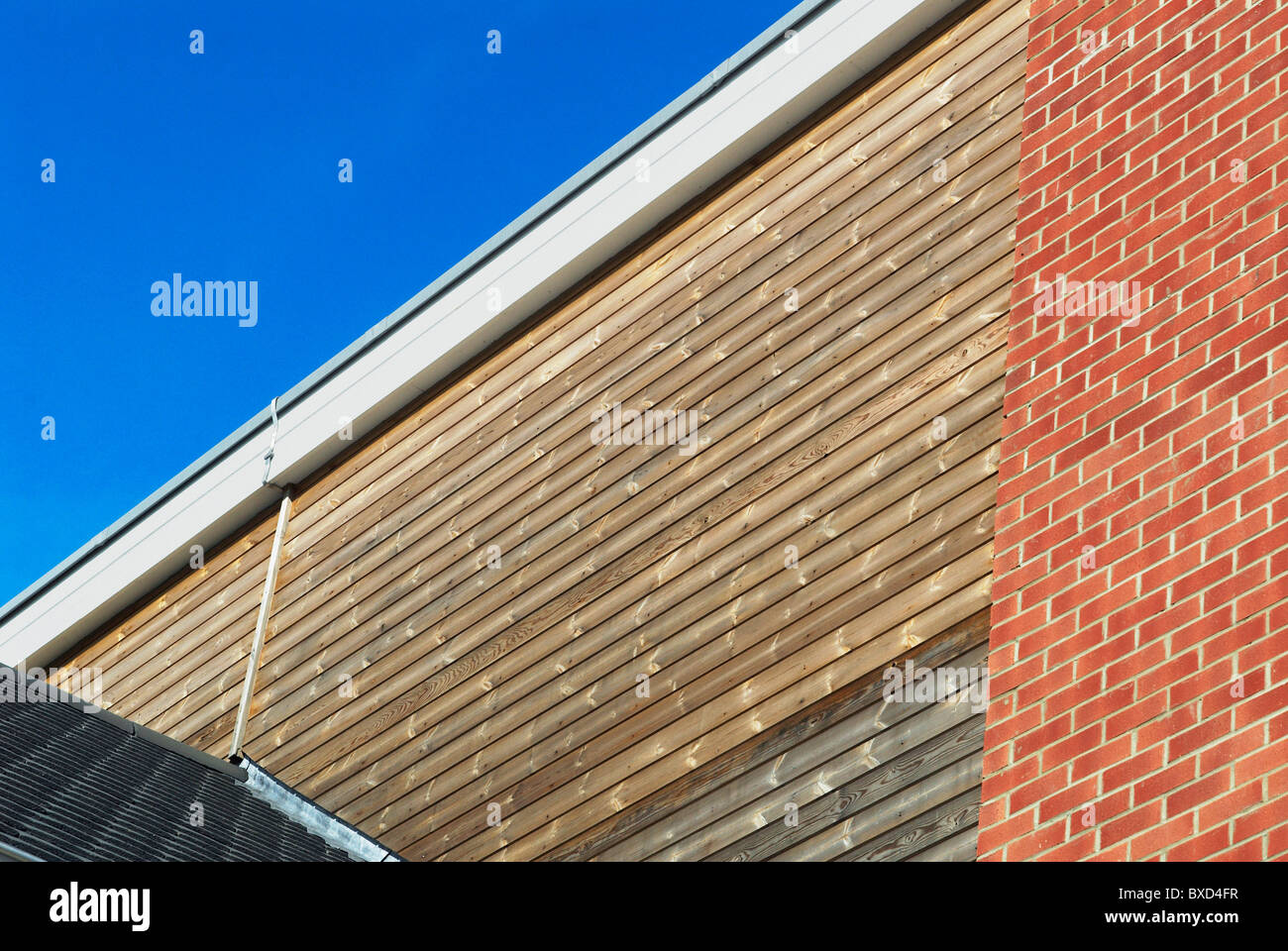 Wood cladding on a modern home Norfolk UK Stock Photo - Alamy